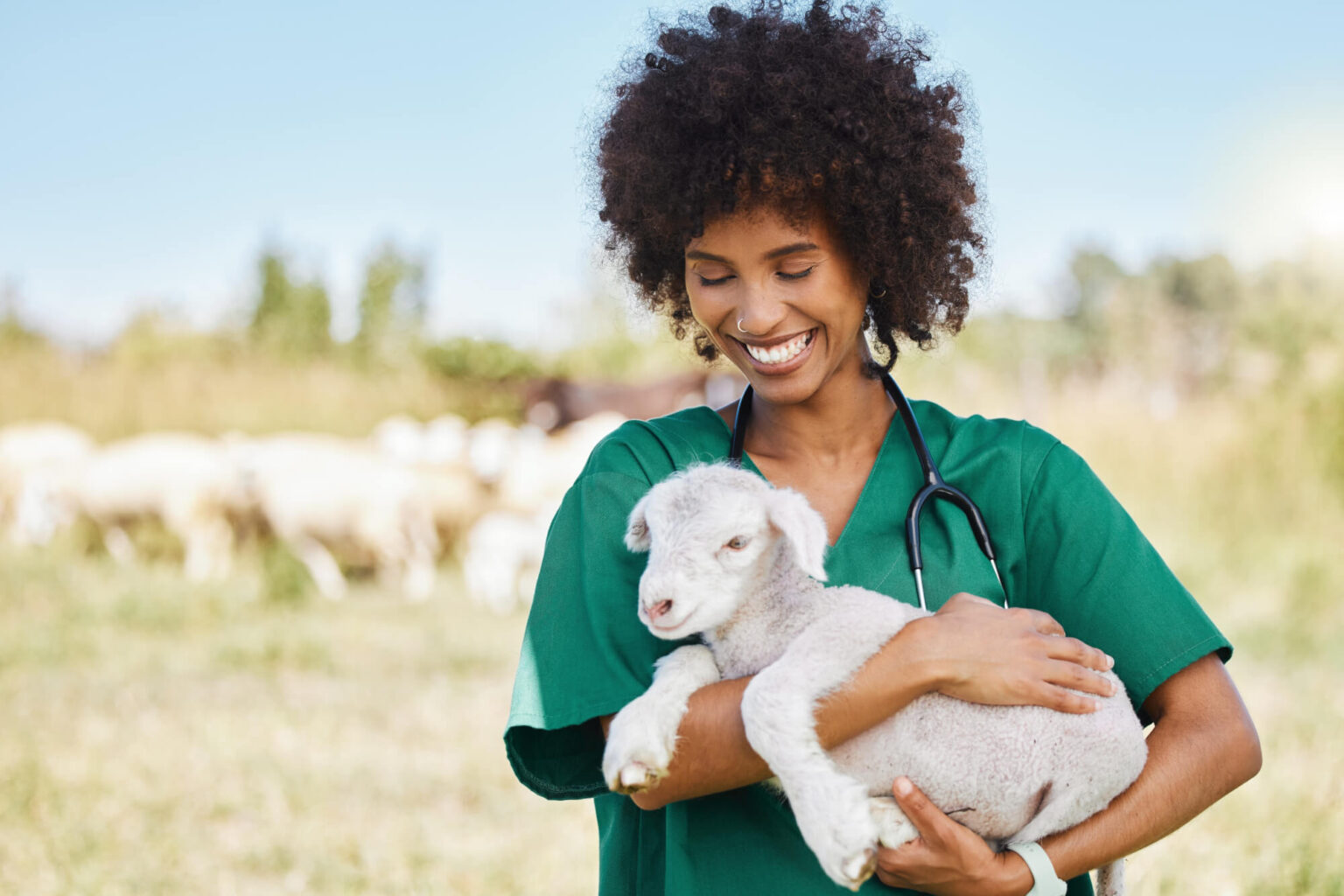Livestock Veterinarian in Horseheads, NY | Southport Veterinary